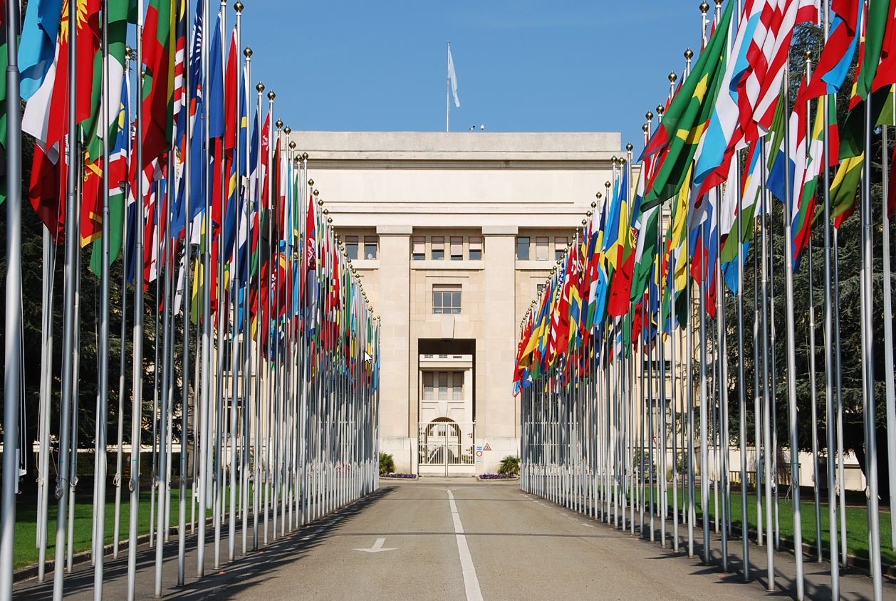 Plan de réponse humanitaire 2023 : les Nations Unies cherchent 720 ...
